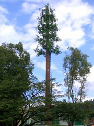 monopole - JungleKey.fr Image #250